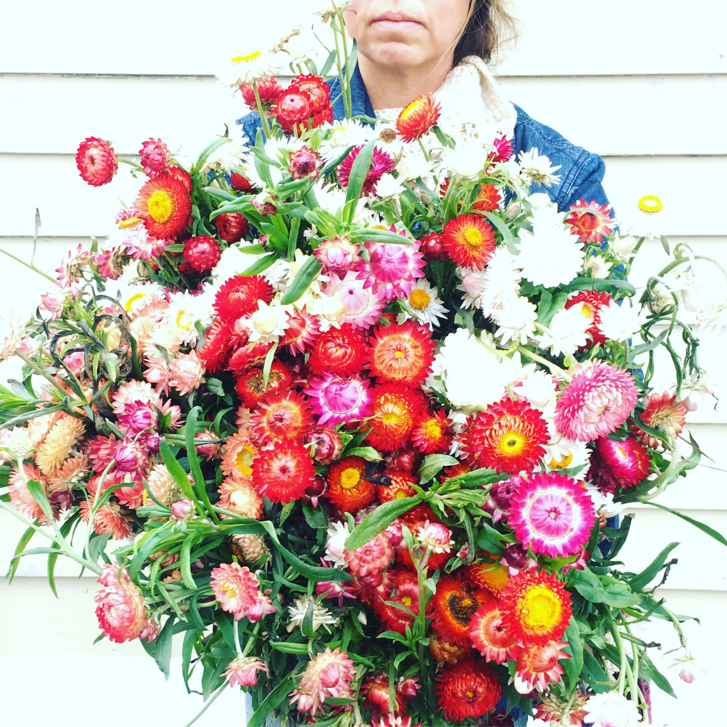 WEEKLY FLOWER SUBSCRIPTIONS — Goode Farm Flowers