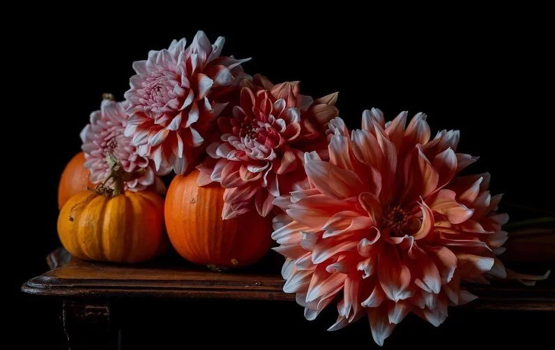 Goode Farm Flowers