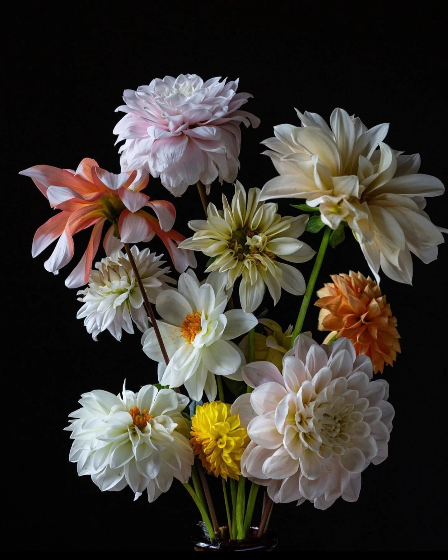 Goode Farm Flowers