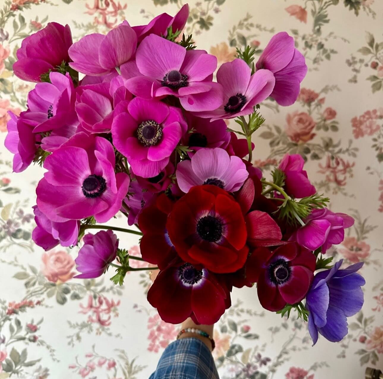 Goode Farm Flowers