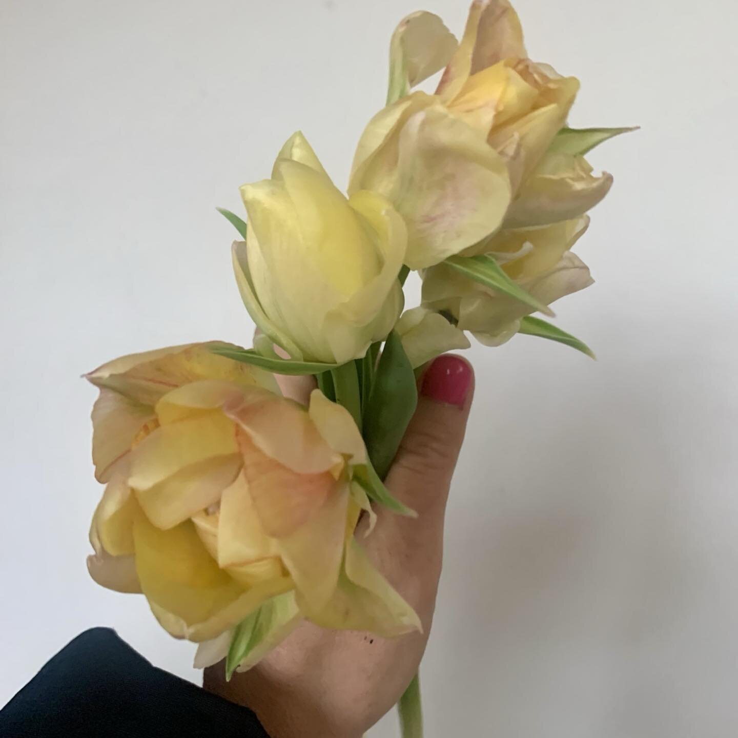Goode Farm Flowers