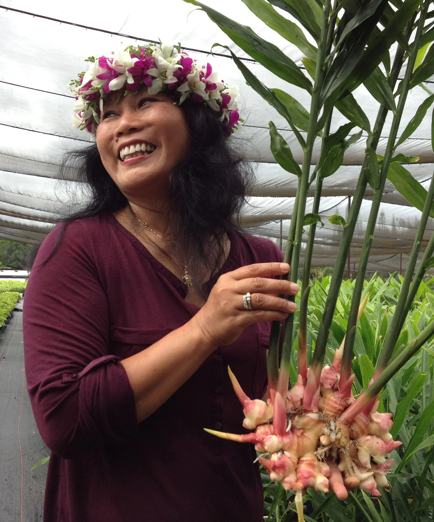 Growing FAQ's — Hawaii Clean Seed