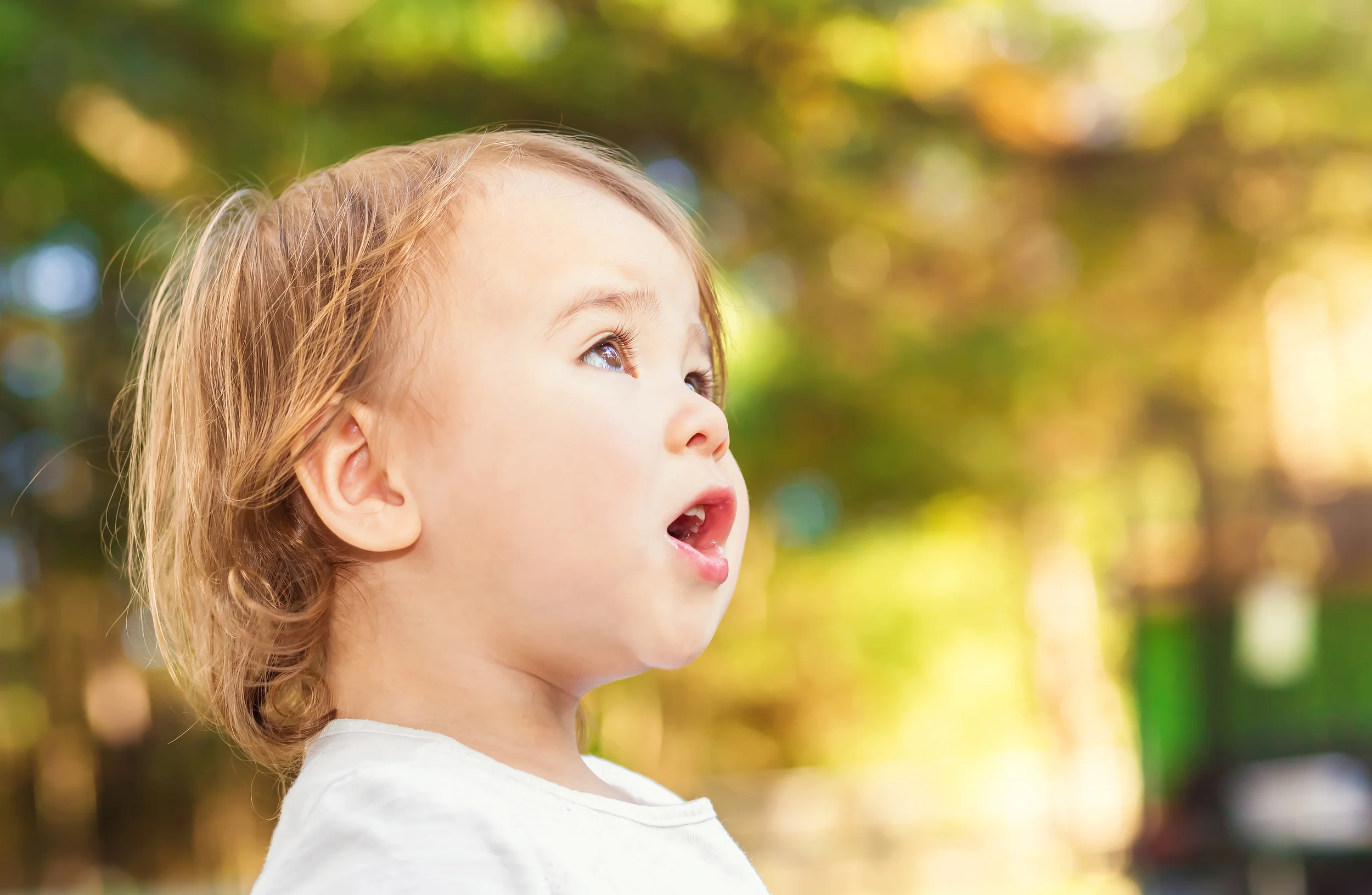 What Is Sensory Processing Disorder LOUISE SHALDERS