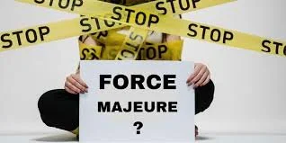 Carson Law — What Is Force Majeure?