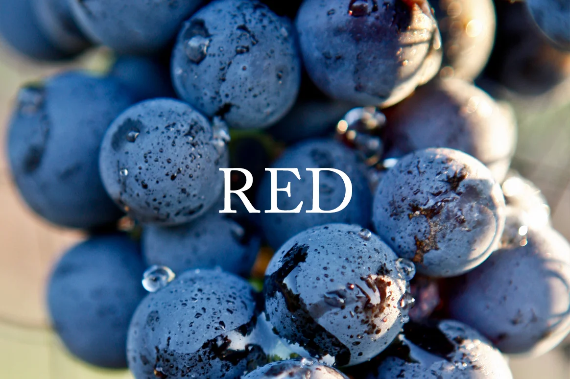 Our Wines — Bedell Cellars