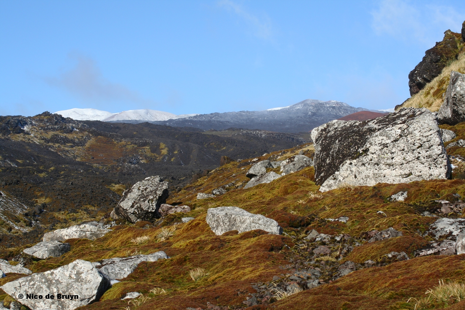Marion Island - Marion Island Marine Mammal Programme