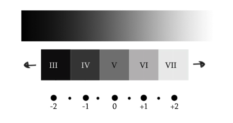 How To Get Perfect Exposure Using Spot Metering and the Zone System