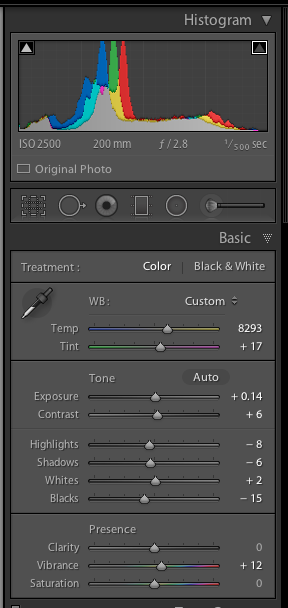 Making the Switch From JPEG to RAW