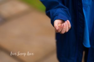 5 Tips for Shooting Wide Open (and what shooting wide open is!)