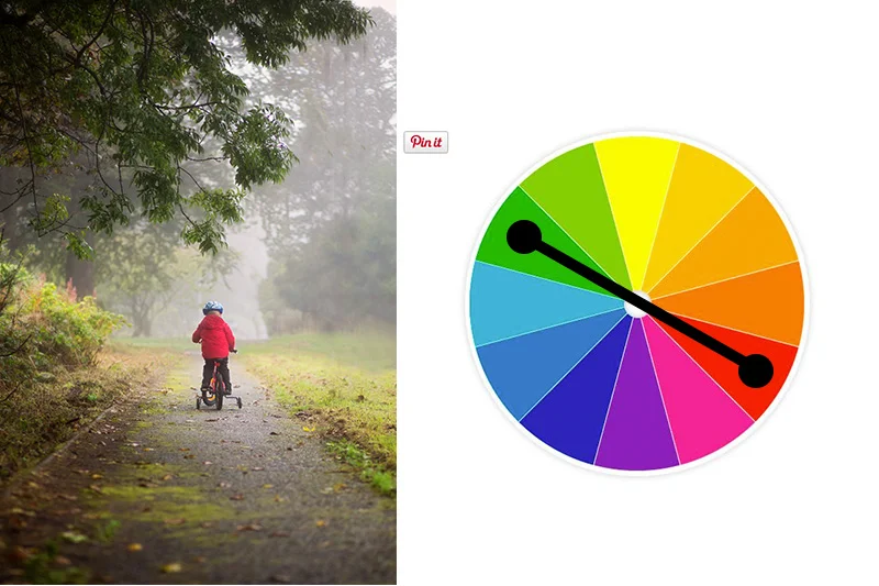 How to Use Contrasting Colors to Add Punch To Your Images