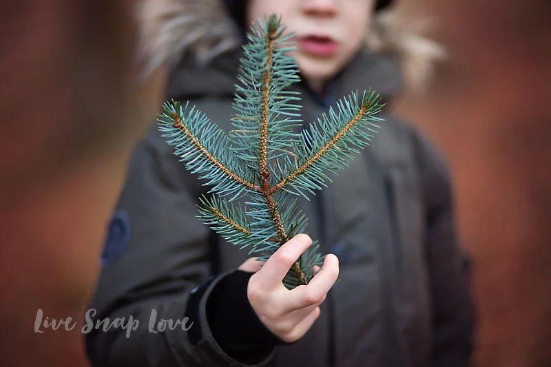 How to Use Texture To Create a Sense of Touch in Photography