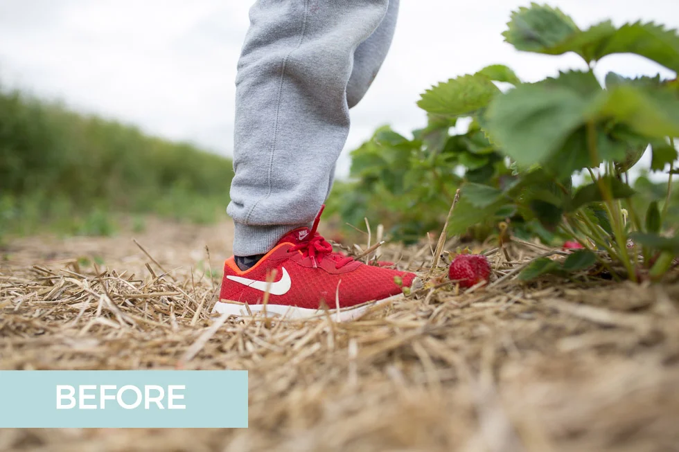 12 Lightroom Before & After Photo Examples