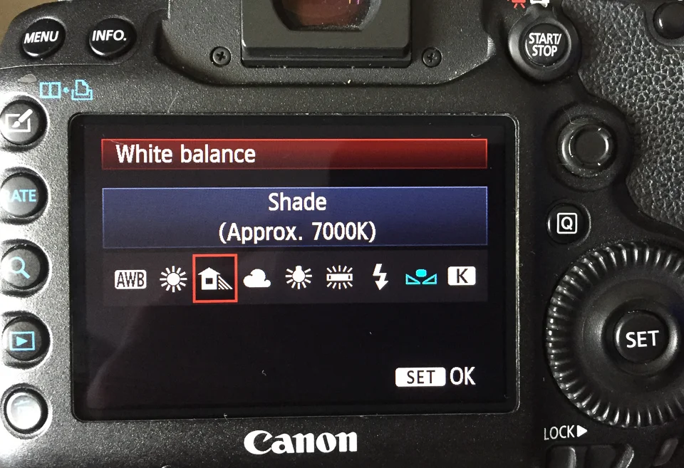 How to Find & Use Open Shade in Photography for Better Photos