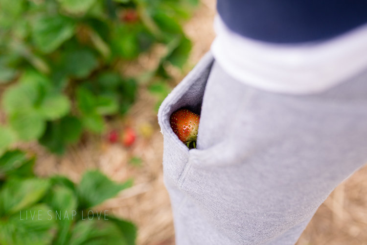 6 Tips for Beautiful Everyday Life Photography