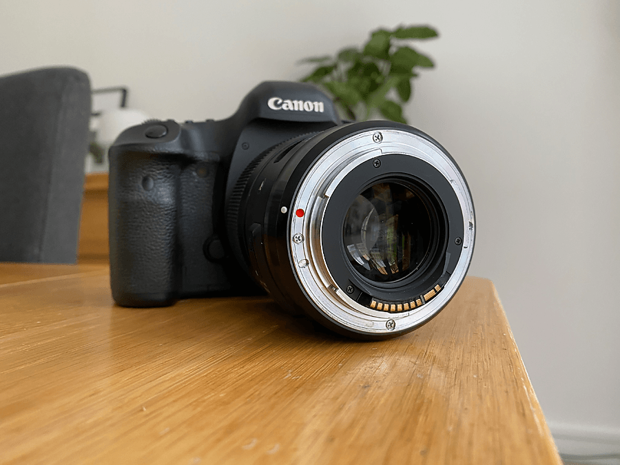 Macro Lens Buying Guide!