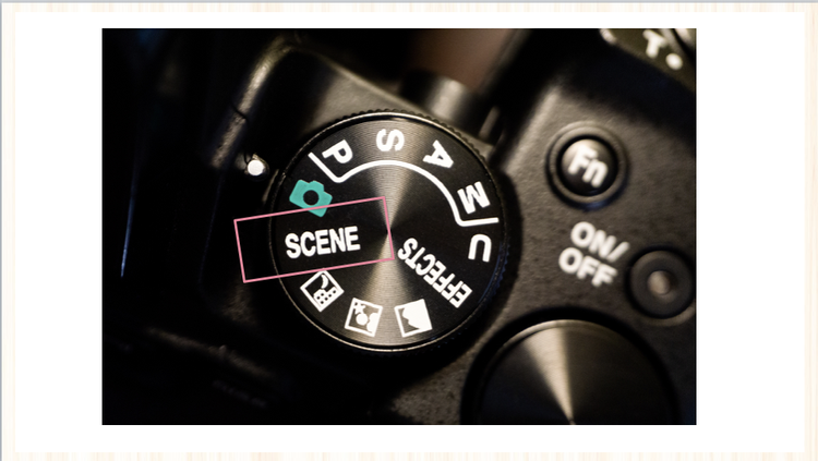 Q&A: When is it OK to use Auto Mode on Your Camera?