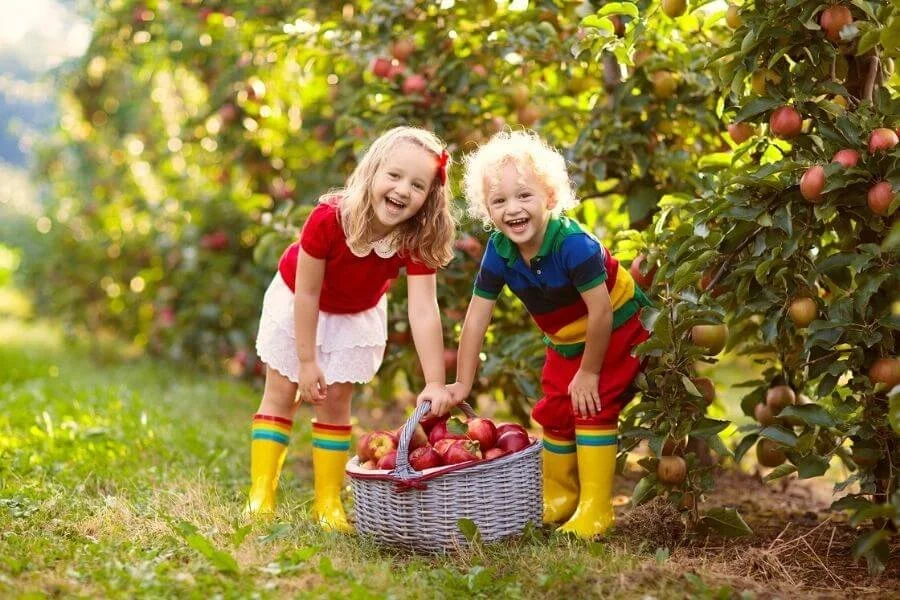 17 Fall Photoshoot Ideas To Try!