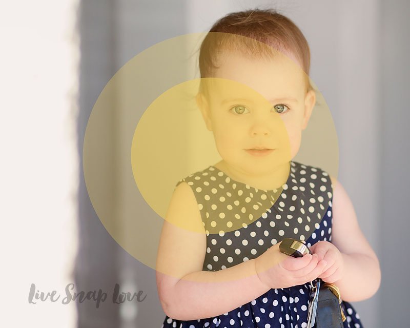 The 5 Types of Metering Modes Explained (and when to use each one!)
