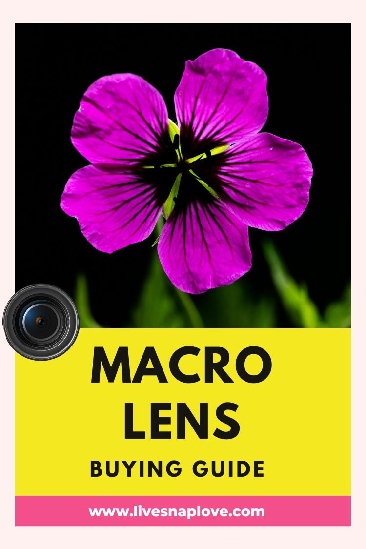 Macro Lens Buying Guide!