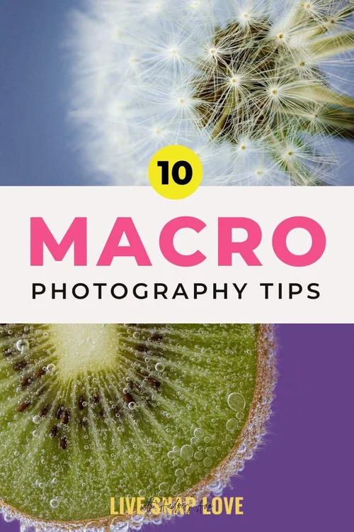 10 Tips for Better Macro Photos