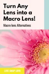How To Use Your Regular Lens For Macro Photography