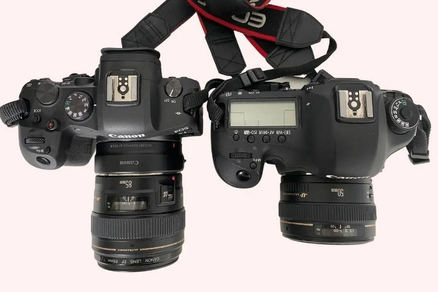 Your DSLR to Mirrorless Questions Answered!