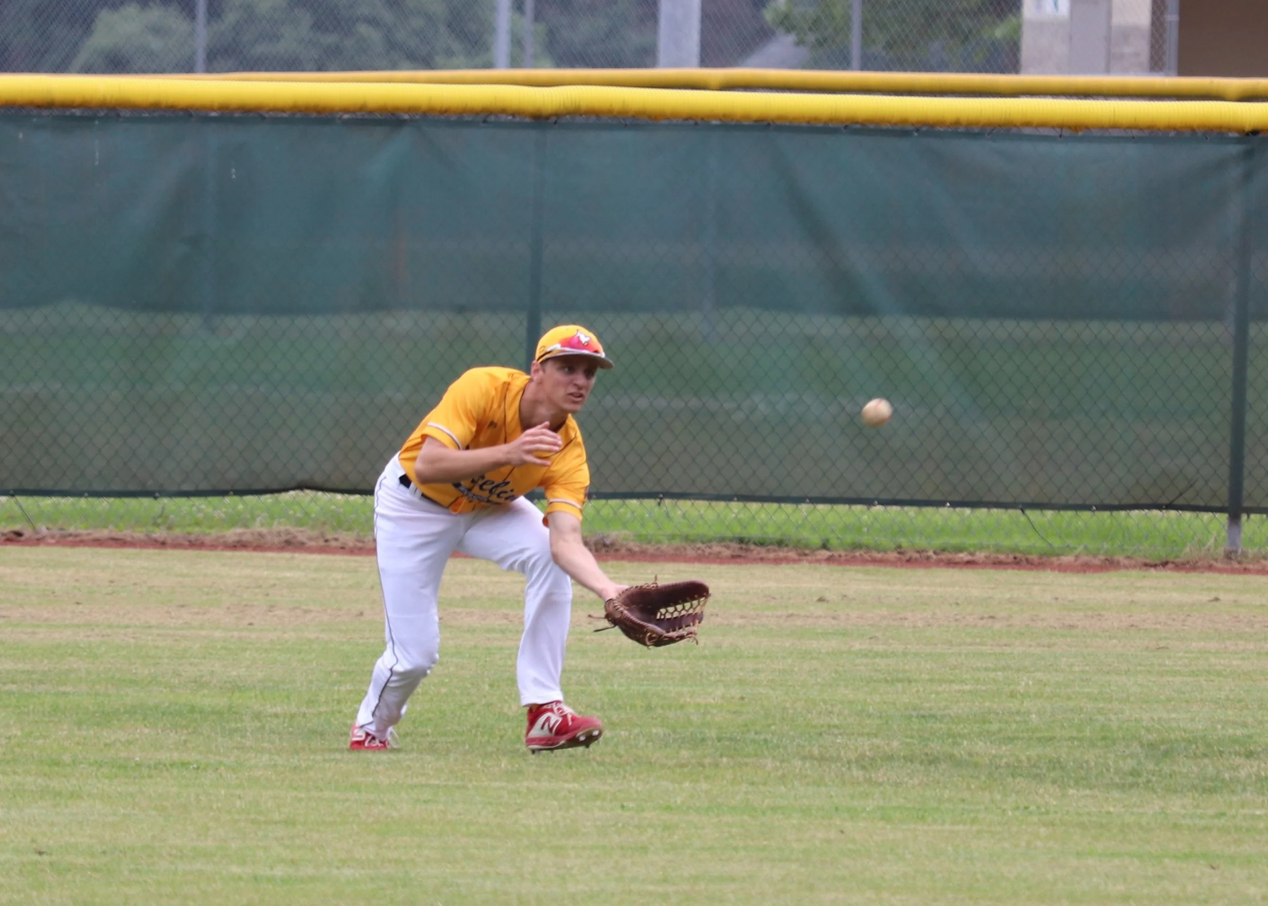 Wheeling American Legion Post 1 Baseball