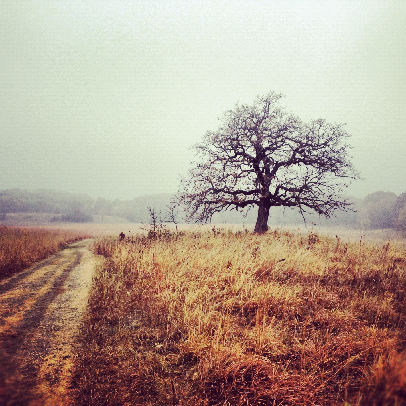 Urban Wilderness — Hiking Minnesota Hiking Minnesota Trails