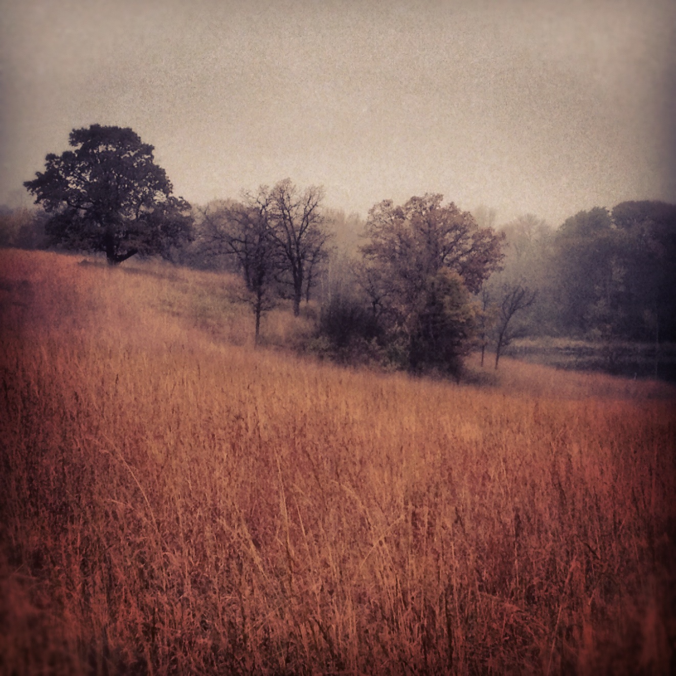 Urban Wilderness — Hiking Minnesota Hiking Minnesota Trails