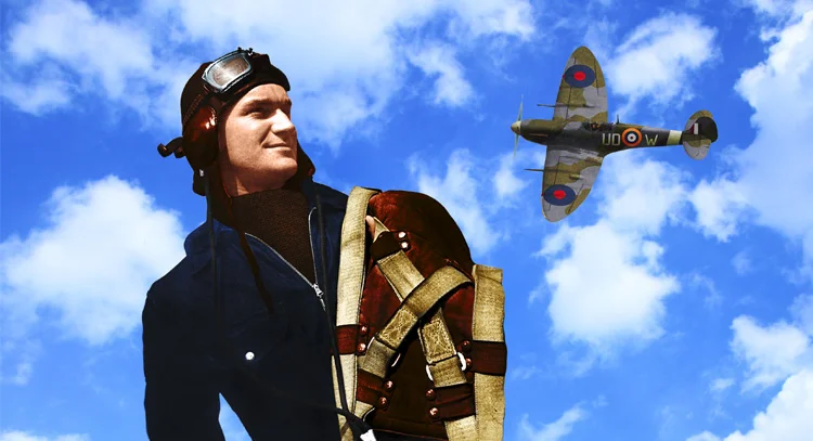 Spitfire Paddy — Network Ireland Television