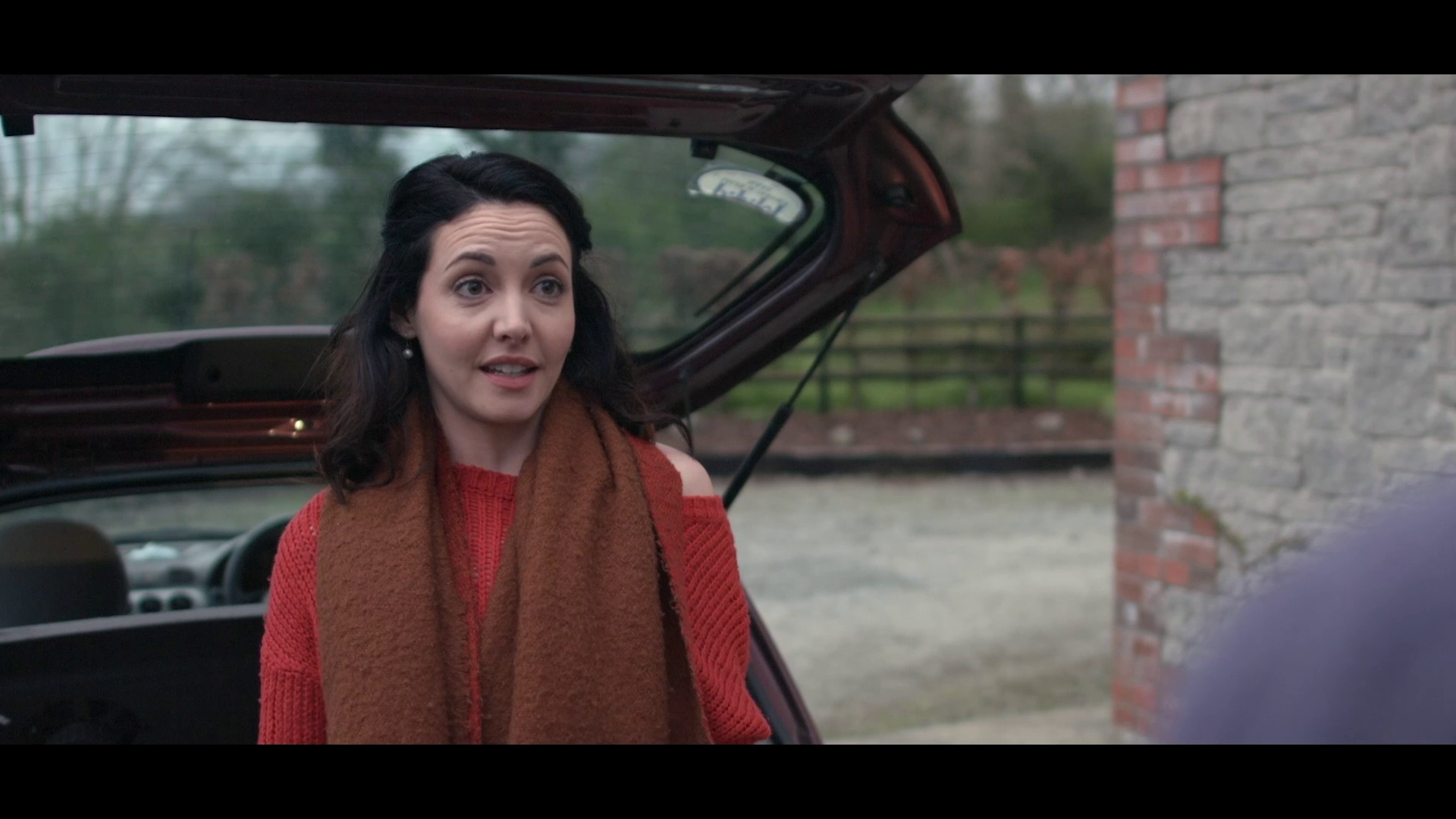 Writing Home — Network Ireland Television