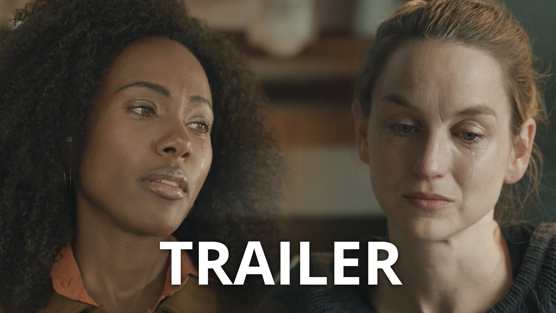 Surprising, Shocking and Sharp Shorts Collection — Network Ireland Television