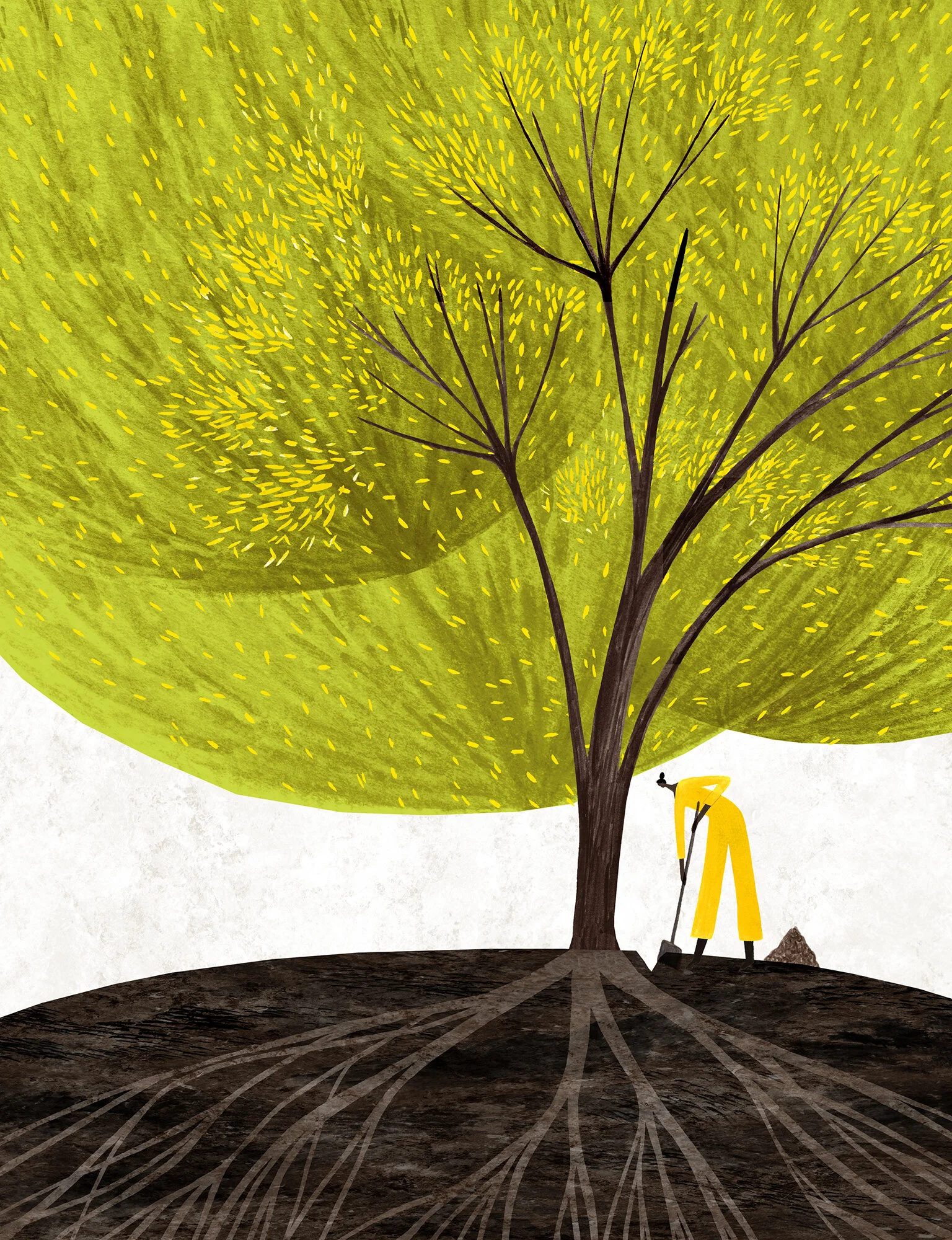 Rosanna Tasker | Freelance Illustrator Shrewsbury, UK