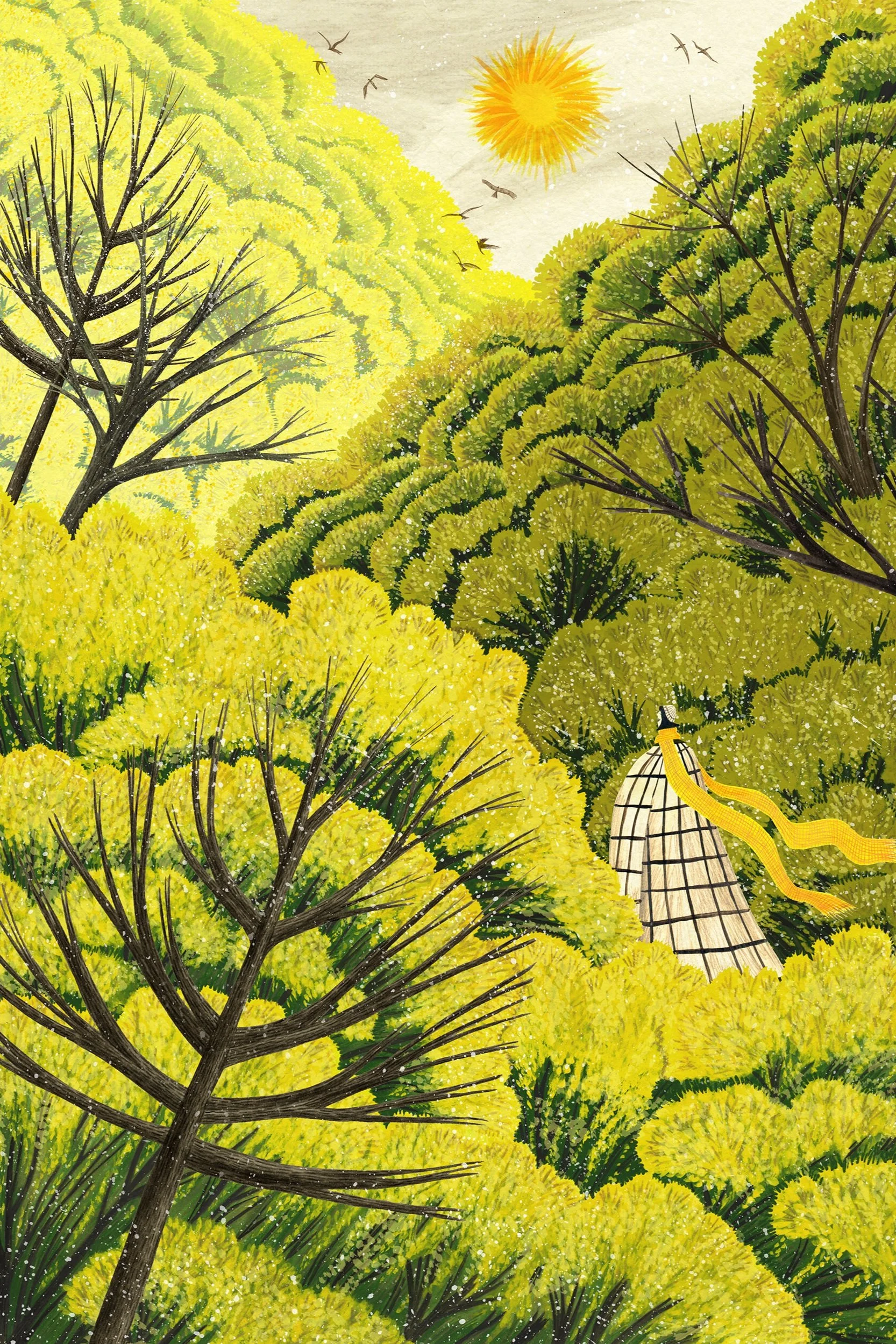 Rosanna Tasker | Freelance Illustrator Shrewsbury, UK