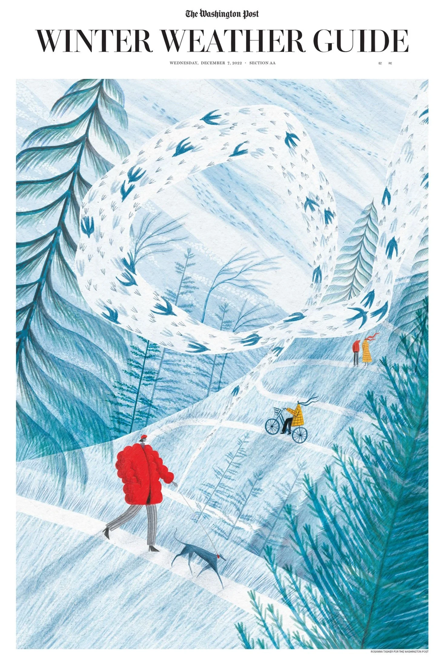 Rosanna Tasker | Freelance Illustrator Shrewsbury, UK