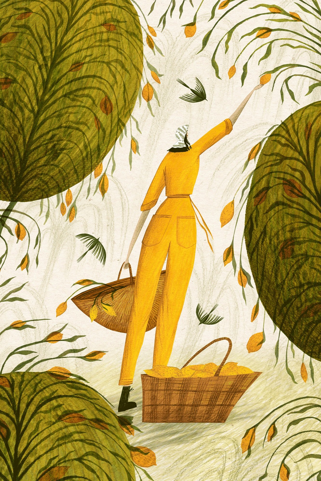 Rosanna Tasker | Freelance Illustrator Shrewsbury, UK