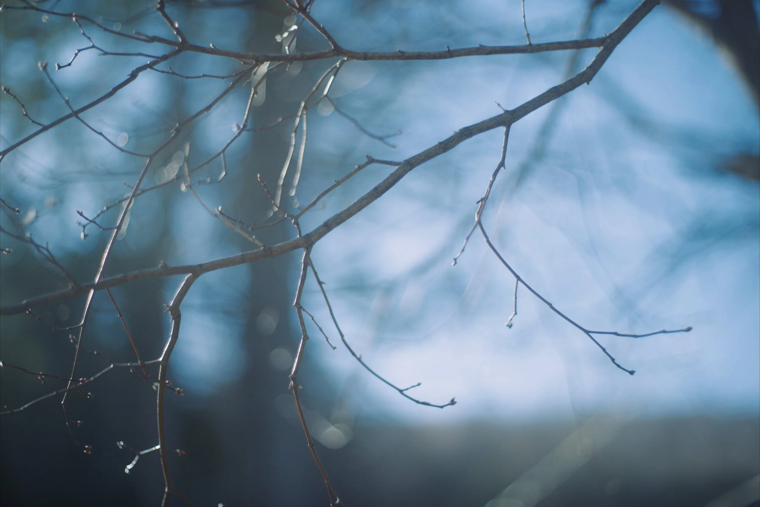 Testing new TIFFEN FOG Filters — BROOKLYN AERIALS