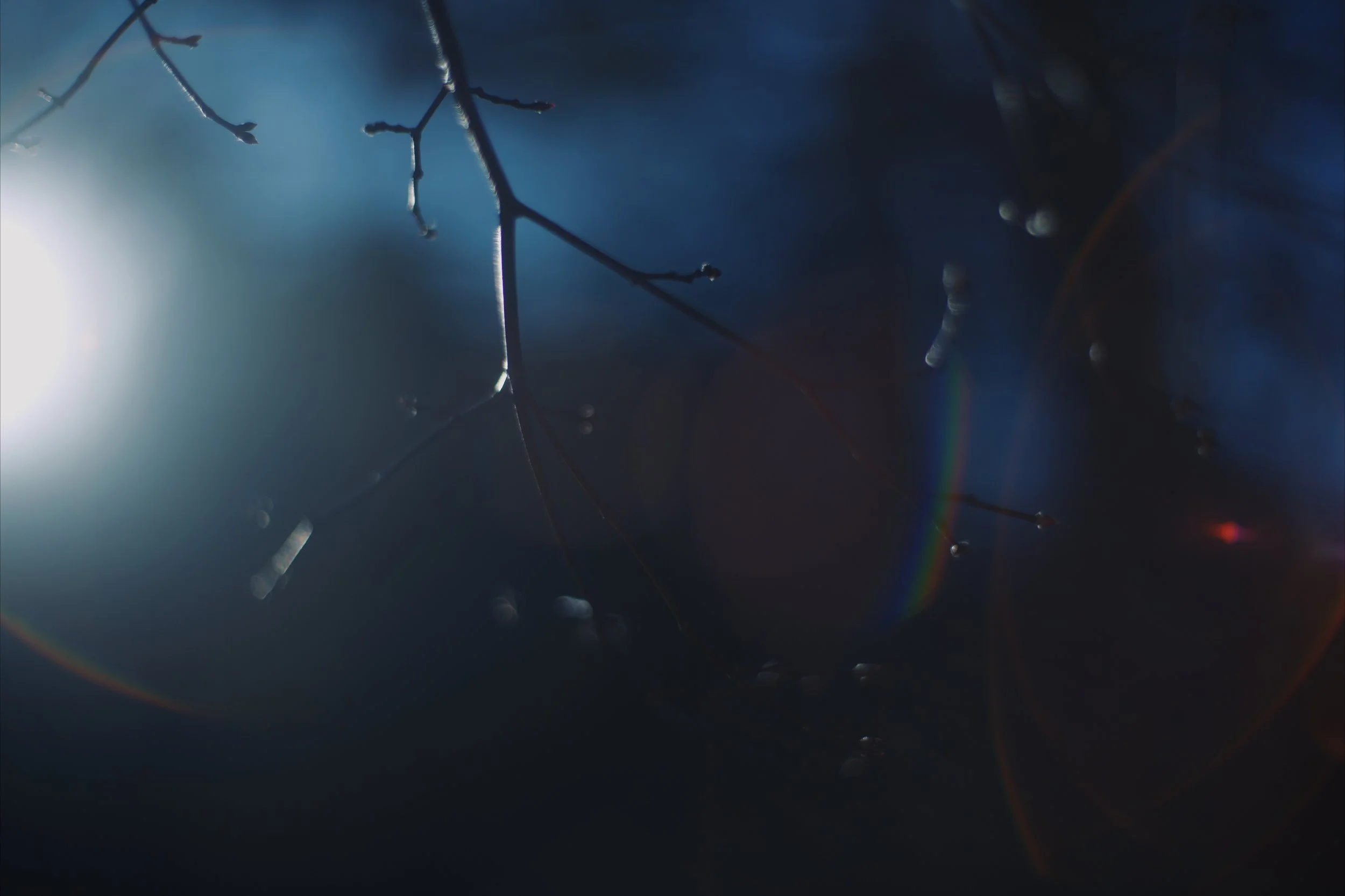 Testing new TIFFEN FOG Filters — BROOKLYN AERIALS