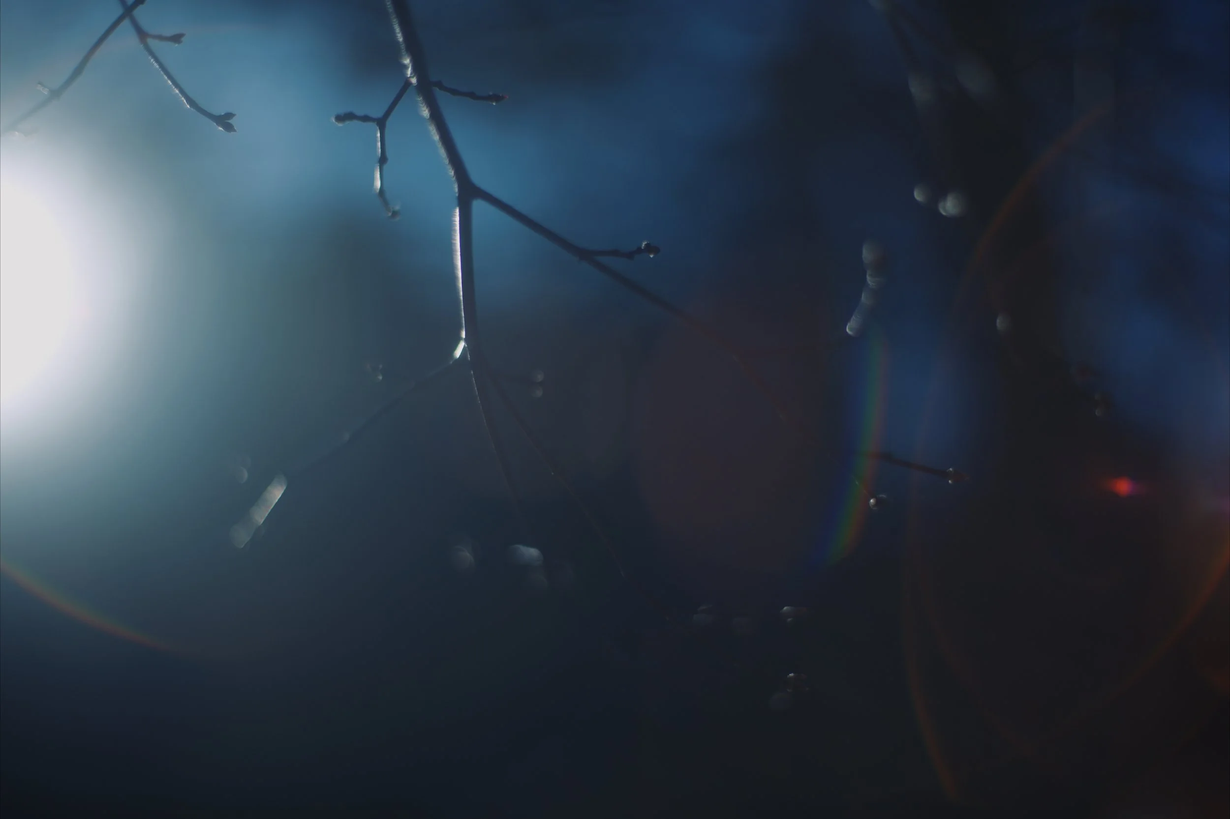 Testing new TIFFEN FOG Filters — BROOKLYN AERIALS