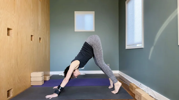 Downward Dog Step By Step — WINI LINGUVIC