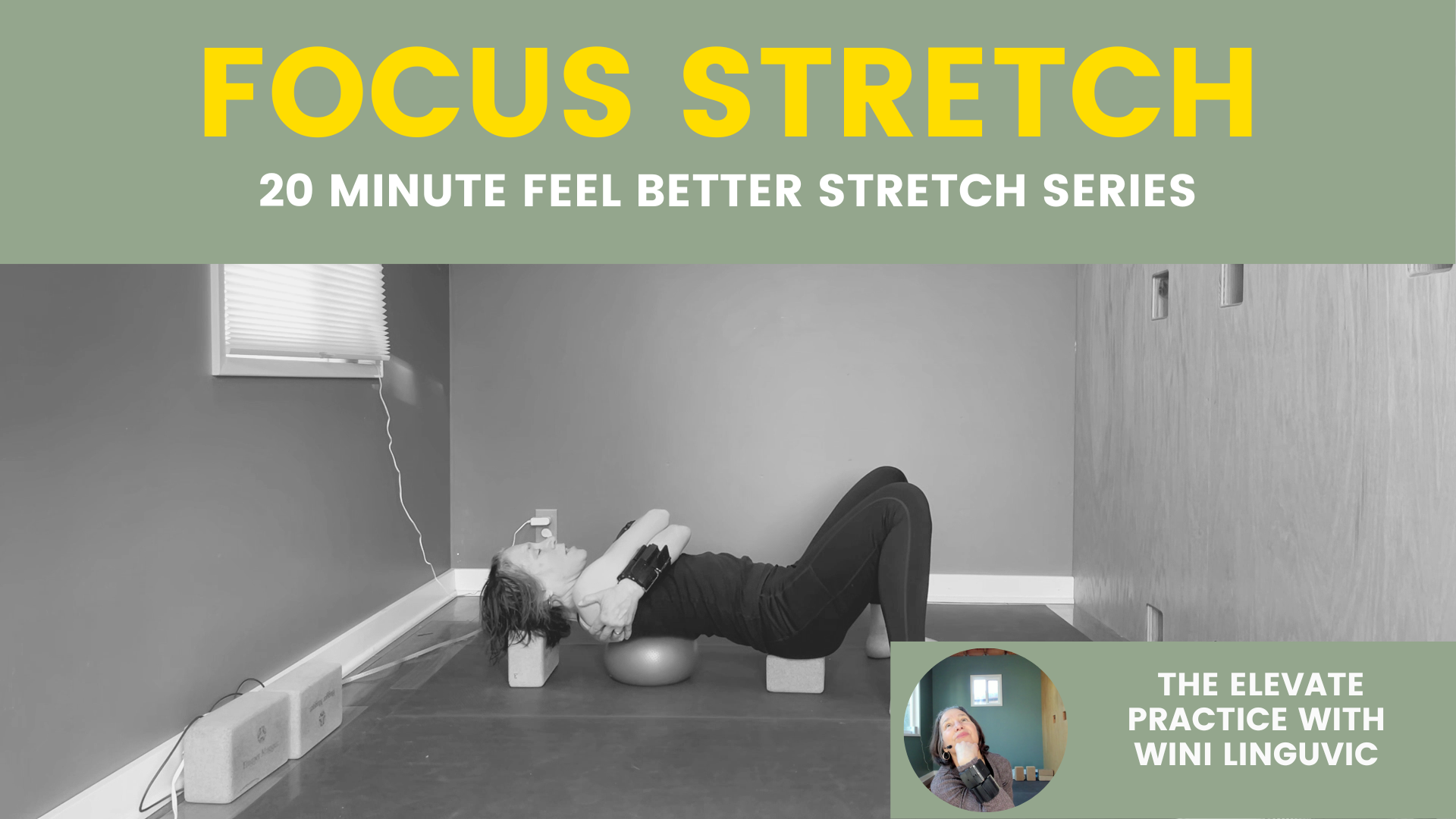 Focus Stretch — WINI LINGUVIC