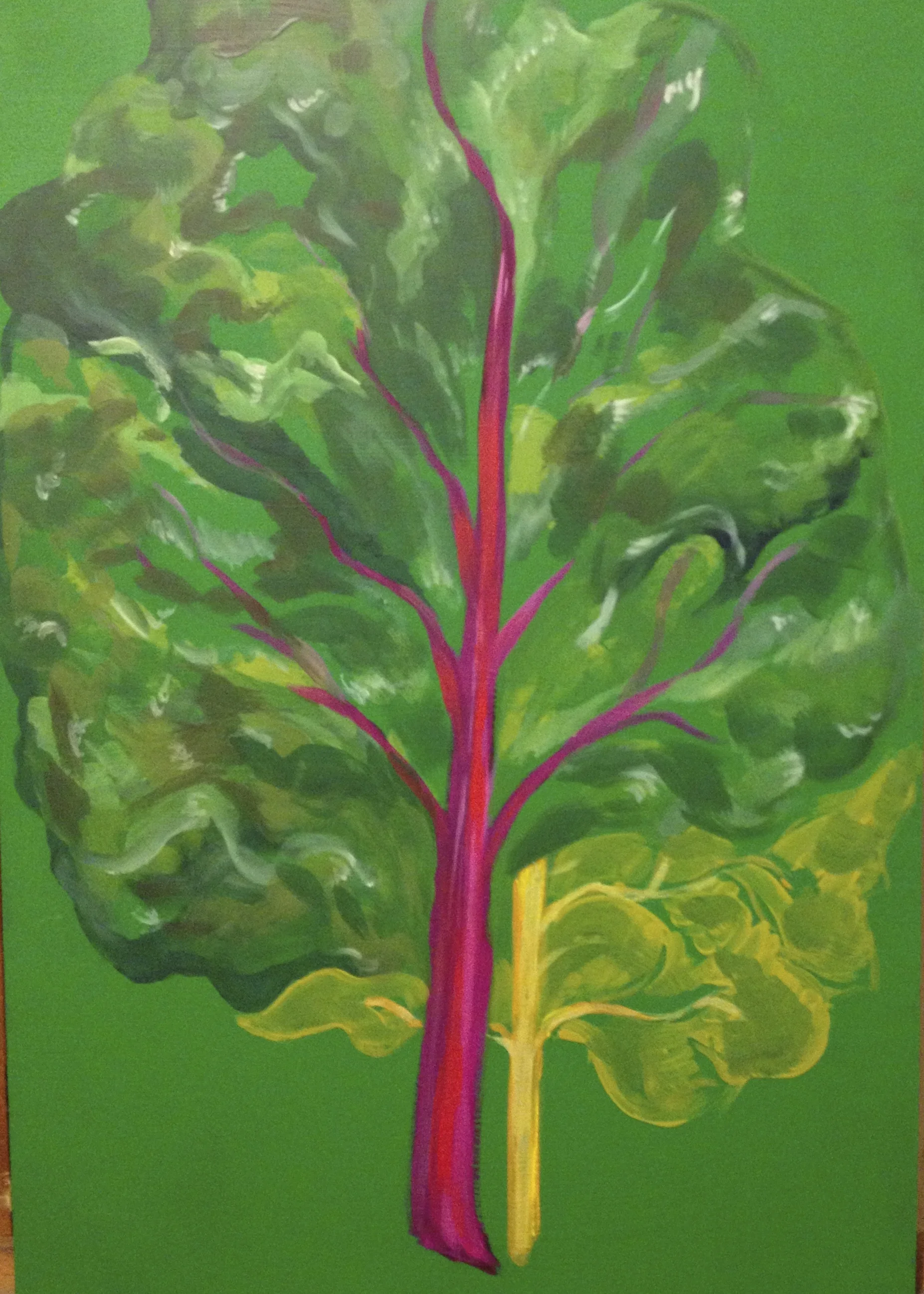 projects — Rochelle Redfield