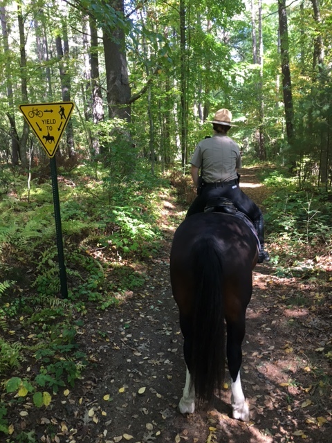 Friends of the MA Park Ranger Mounted Unit. Mounted. Mounted Park ...