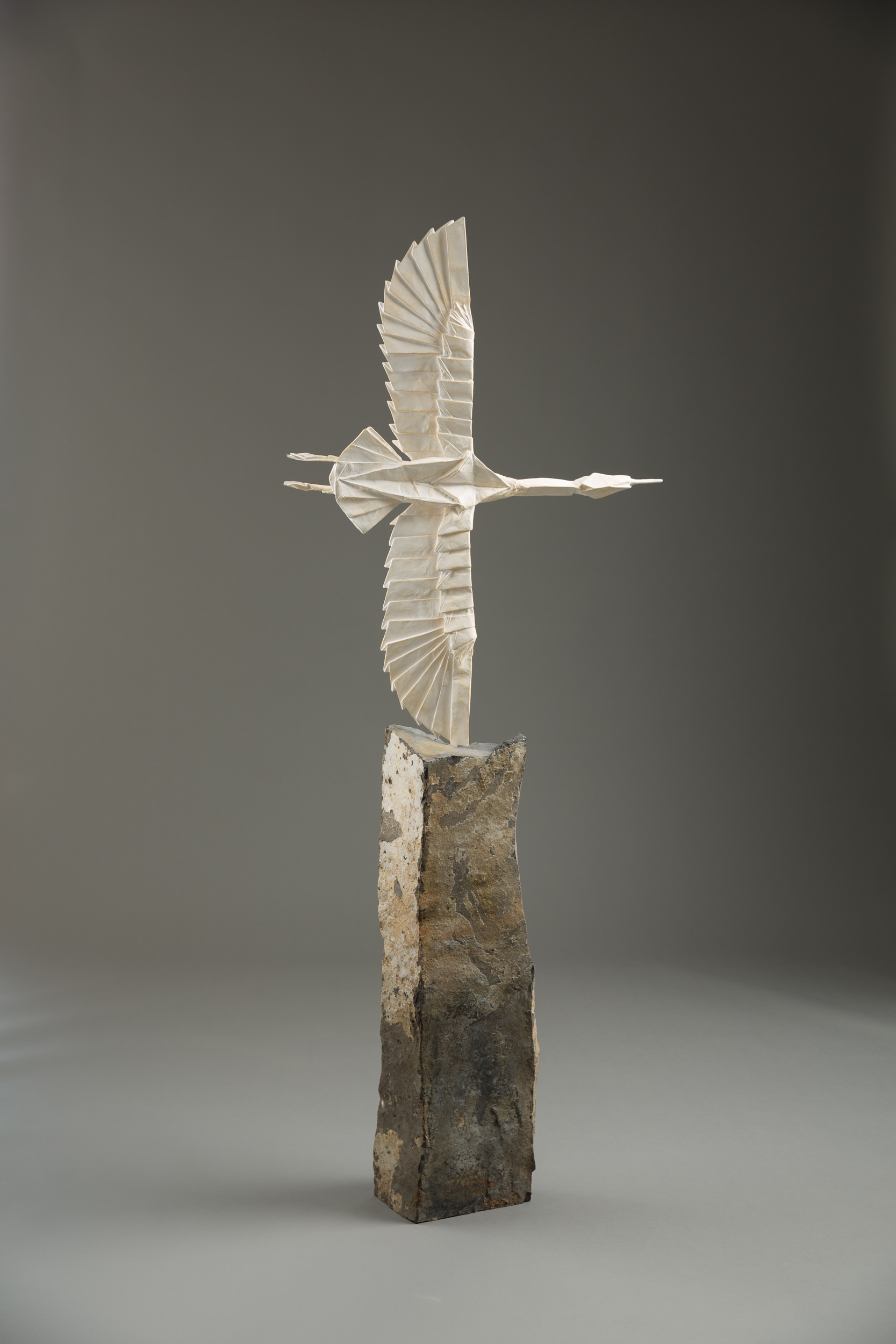 Kevin Box — The Vickers Collection