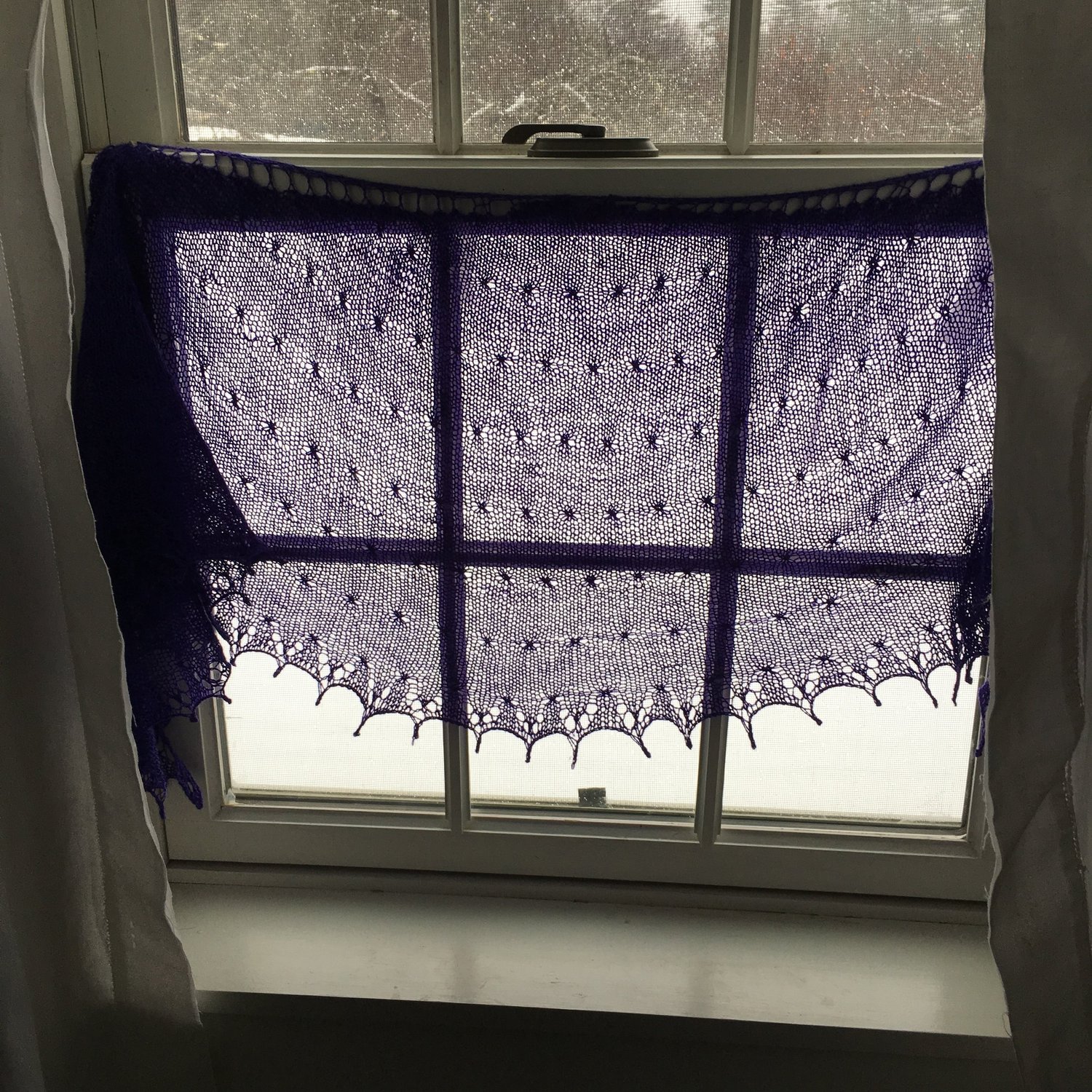 Blog — Porpoise Fur