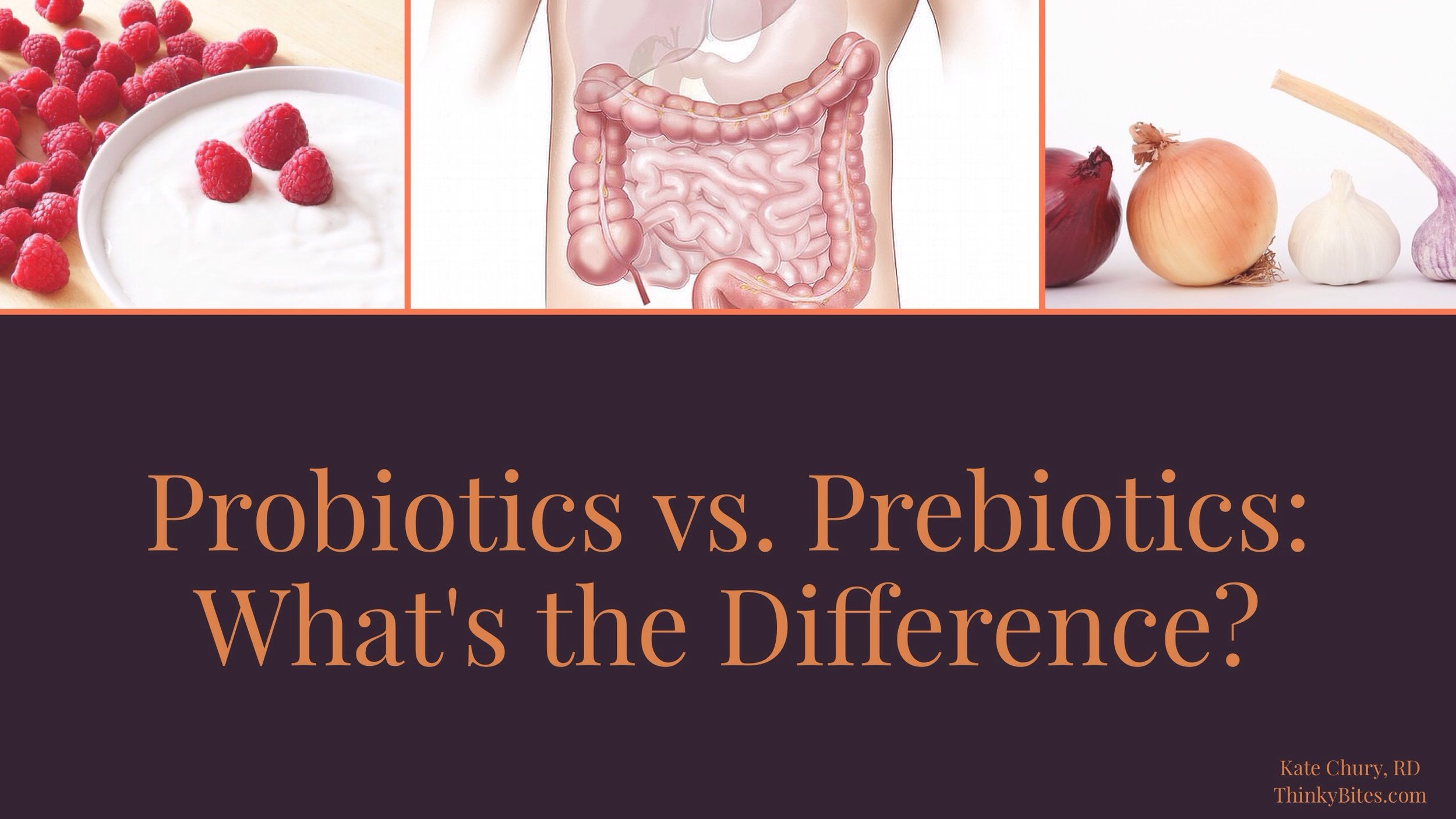 Probiotics Vs Prebiotics Whats The Difference — Thinkybites