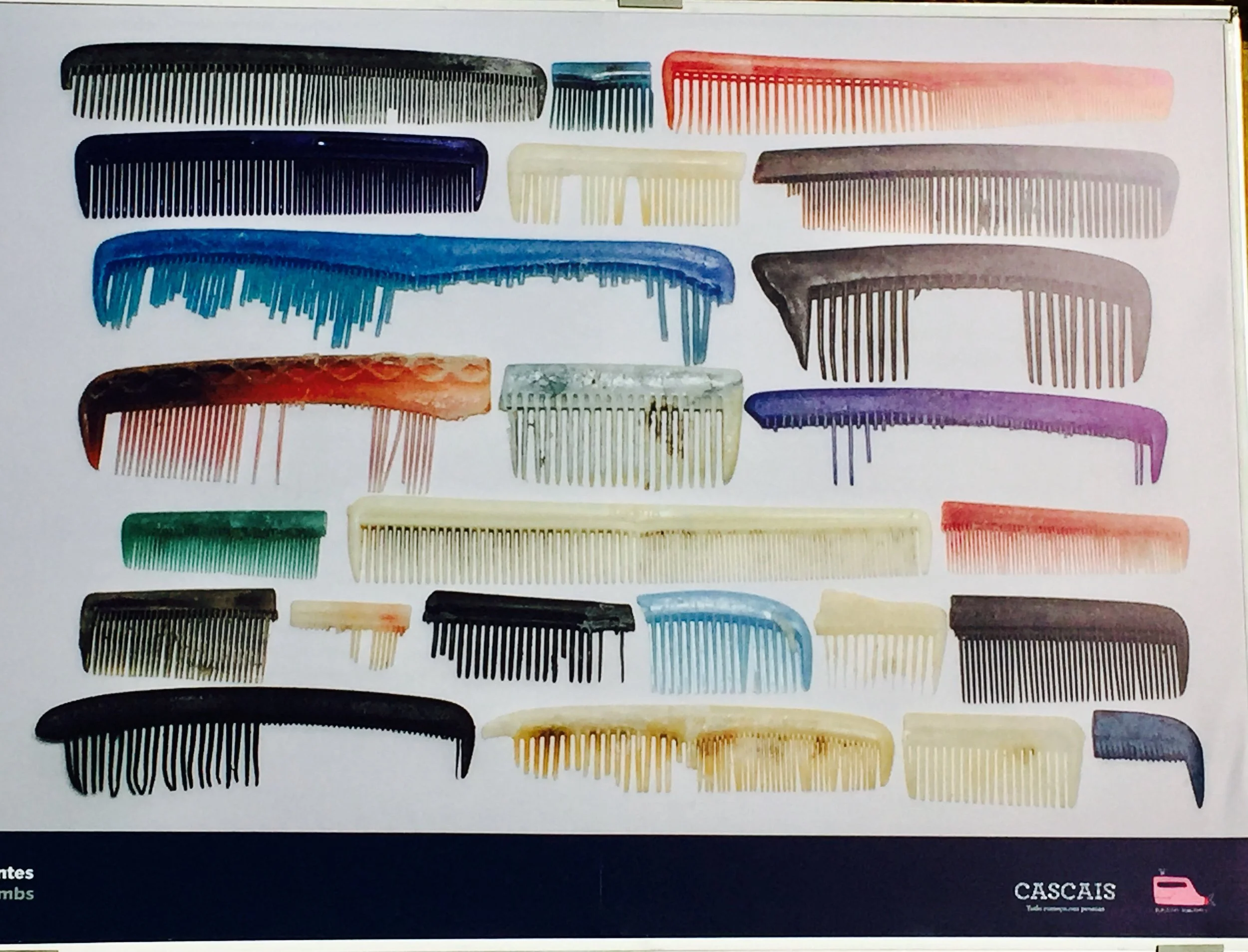 Plasticus maritimus — Paint in Portugal