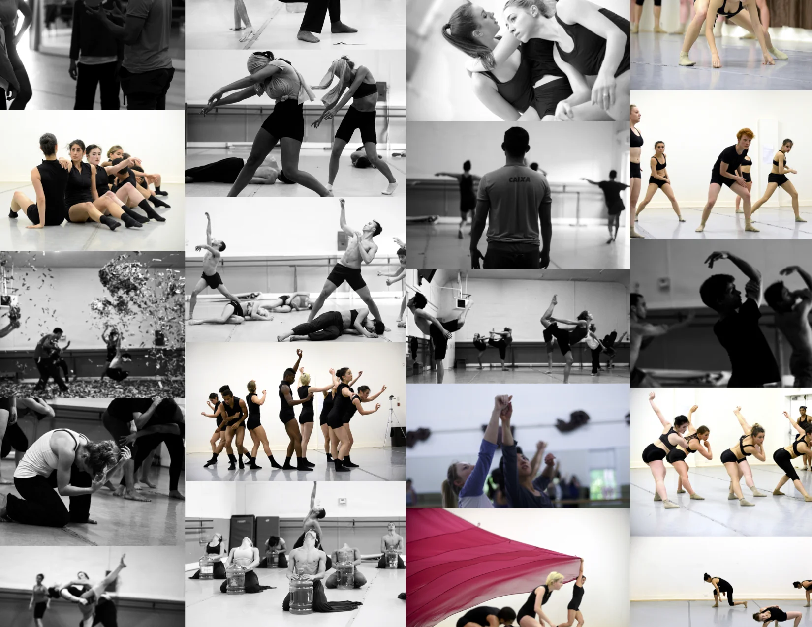 Curriculum — Lamondance