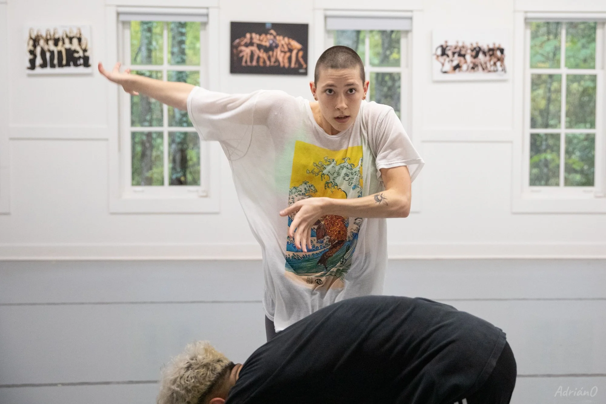 Contemporary Training Program — Lamondance