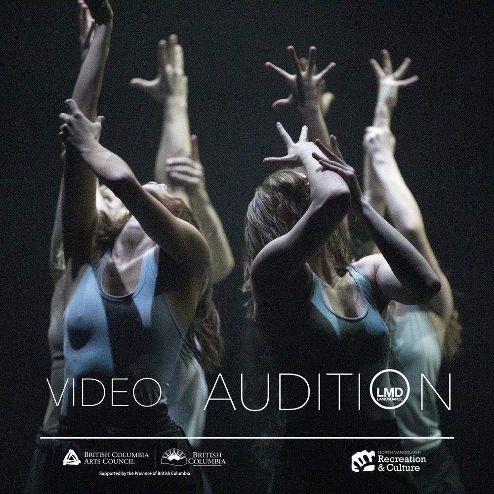 Video Audition guide lines — Lamondance